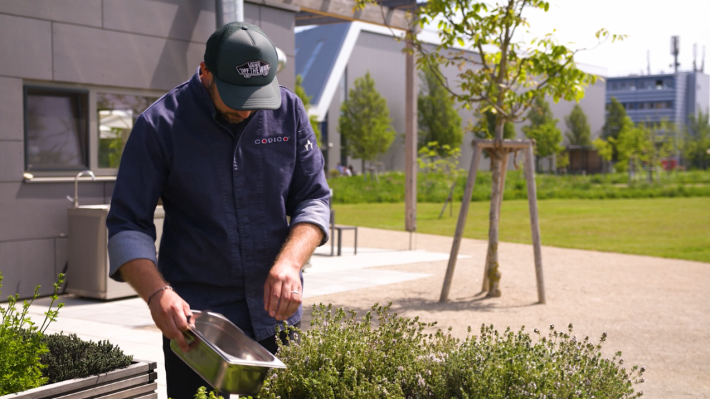 Benefits | CODICO.com