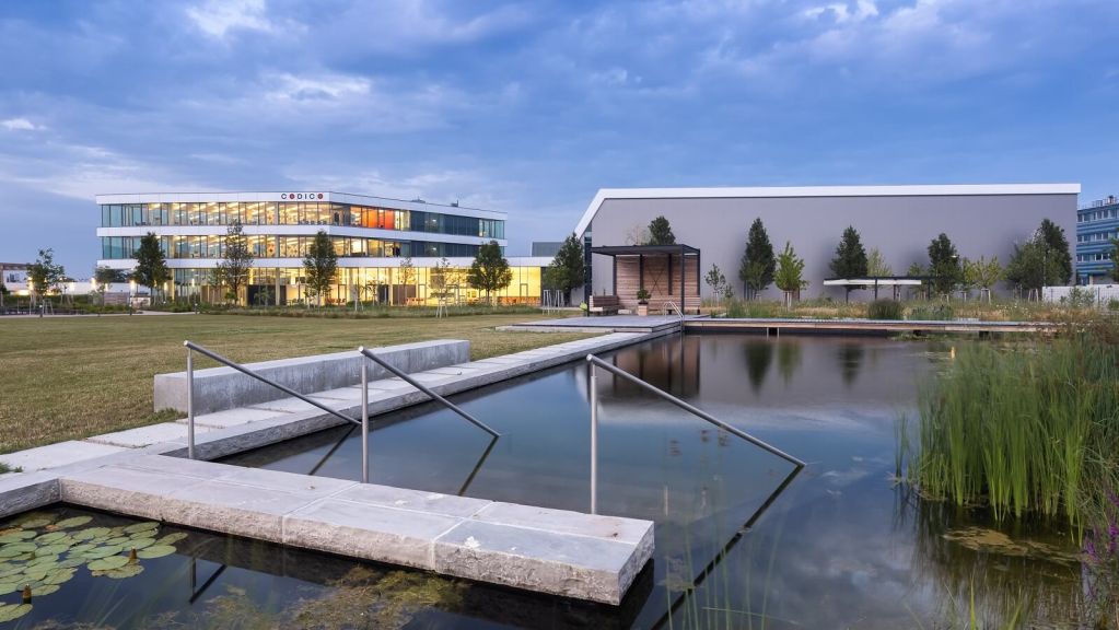 Unsere Geschichte | CODICO.com