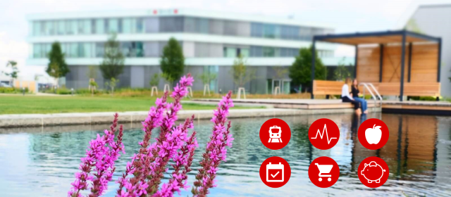 Benefits | CODICO.com