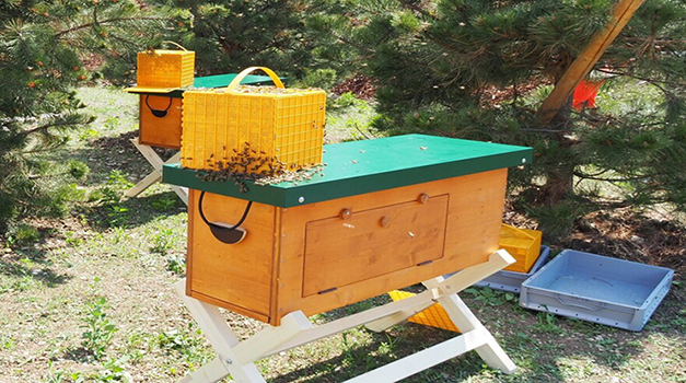 CODICO Central Park | CODICO.com