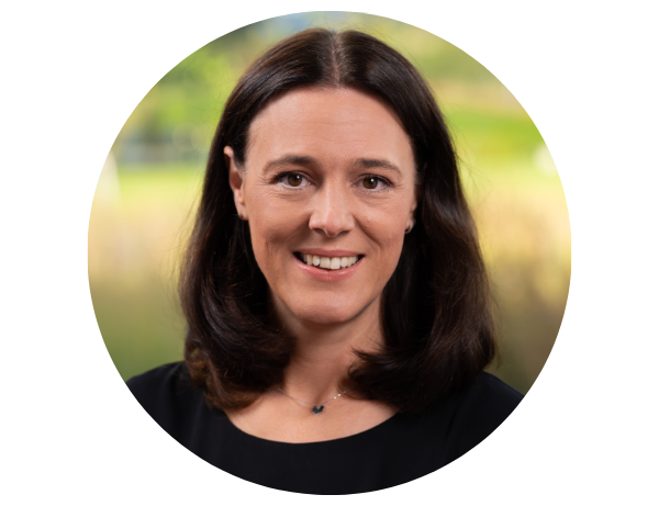 Work Areas at CODICO | CODICO.com